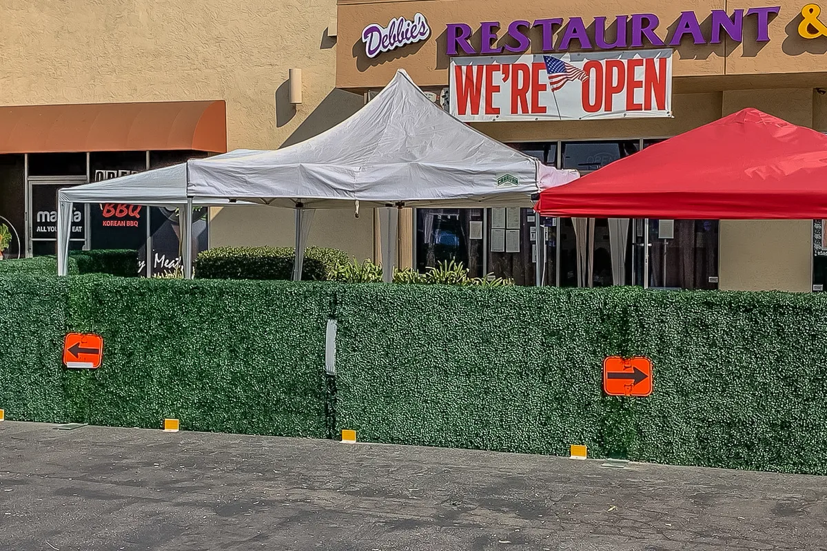 Neon Signs on Hedge Walls: A Design Guide | Evergreen Event Rental