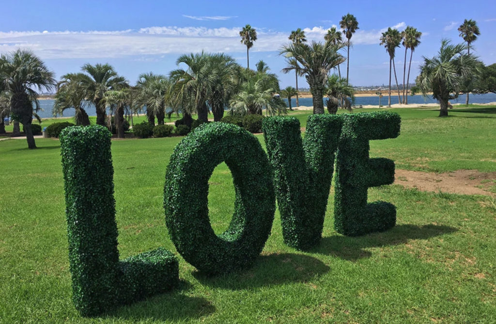 Wood Partitions Rental | Boxwood Hedge for Any Occasion | Evergreen ...